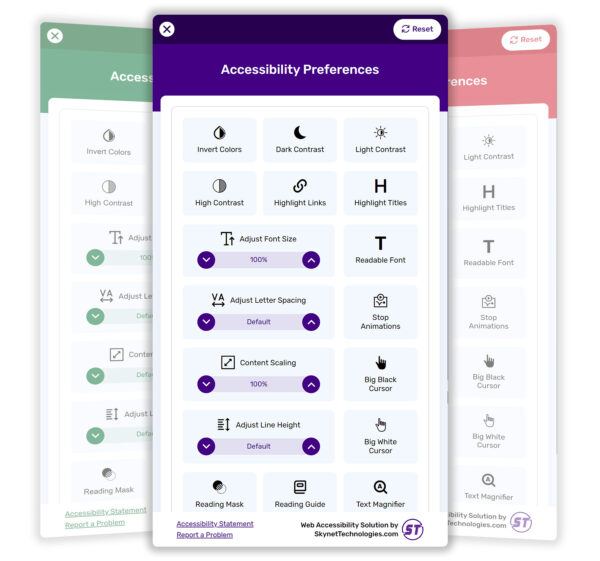 All in One Accessibility Pro – Skynet Technologies