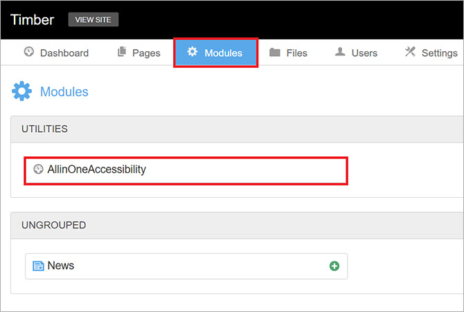 BigTree web accessibility widget installation - All In One Accessibility