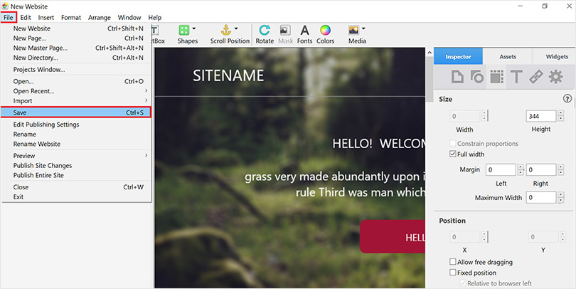 EverWeb web accessibility widget installation - All In One Accessibility