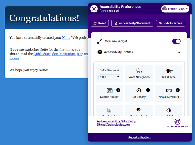 nette web accessibility widget installation - All In One Accessibility