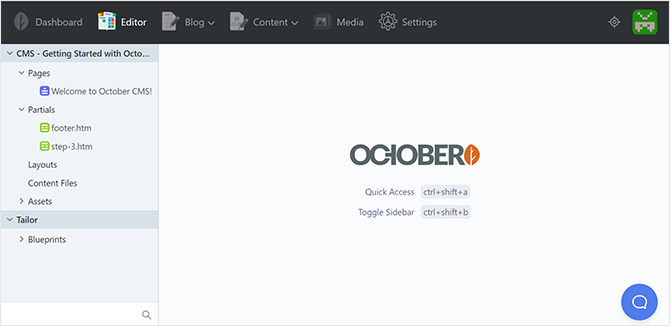 October CMS website accessibility widget installation