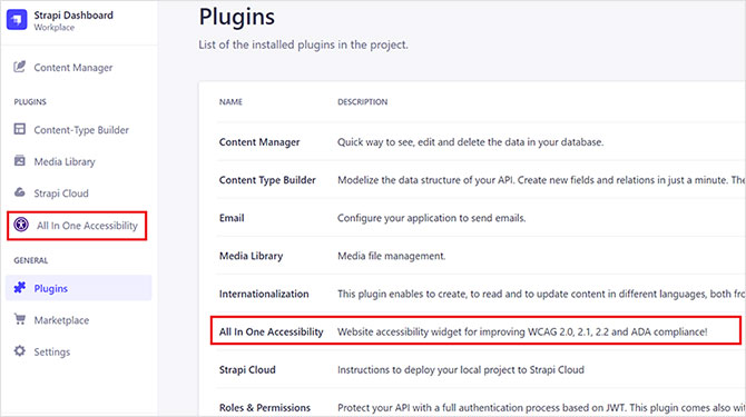 Strapi web accessibility widget installation - All In One Accessibility