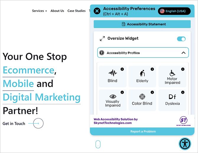 Accessibility Widget installation for Typo3 website