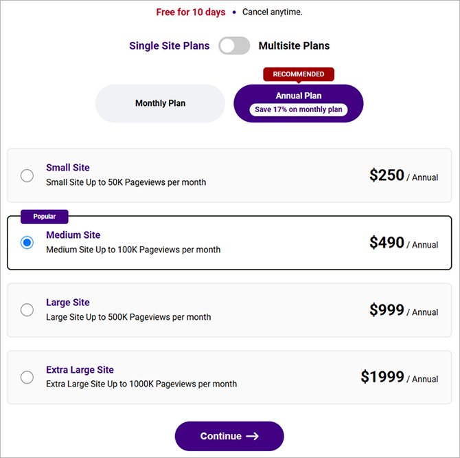 Strapi web accessibility widget installation - All In One Accessibility