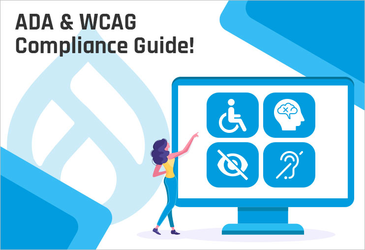 ADA Compliance and WCAG Level - Skynet Technologies USA LLC