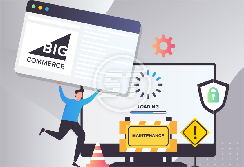BigCommerce Maintenance - Skynet Technologies USA LLC
