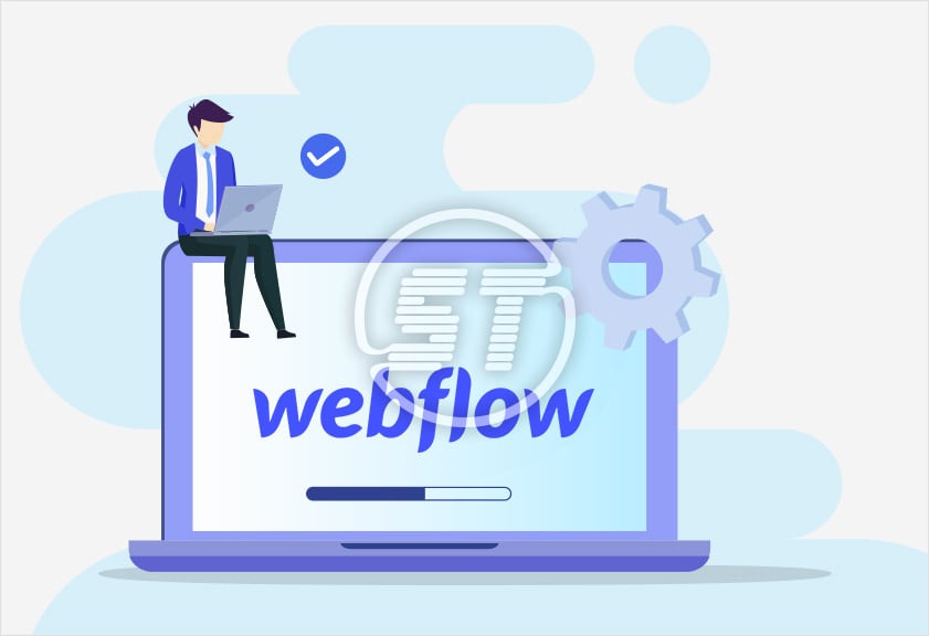 Webflow ADA and WCAG Accessibility widget installation