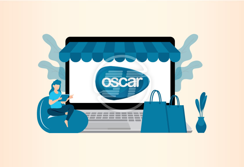 Oscar Ecommerce web accessibility widget installation