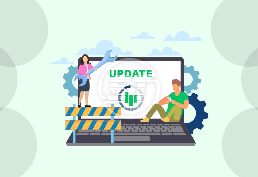 LP platform website accessibility widget installation