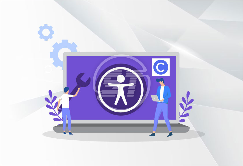 Circle Web Accessibility Widget Installation All In One Accessibility