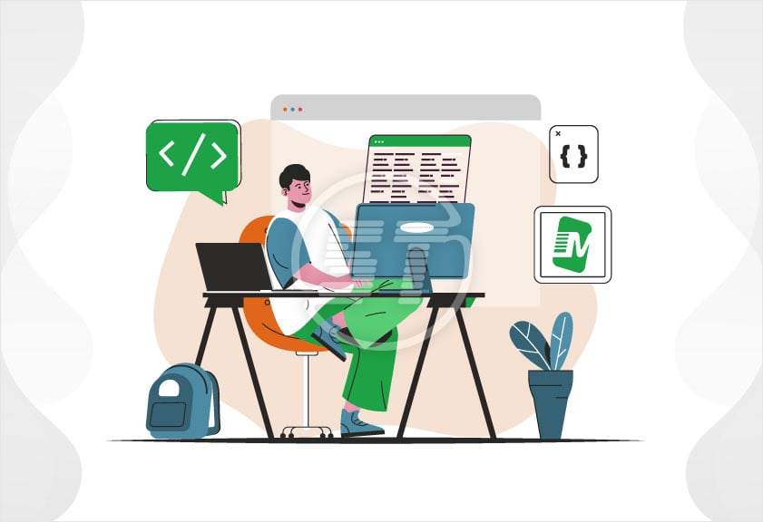 CMS.S3 web accessibility widget installation - All In One Accessibility