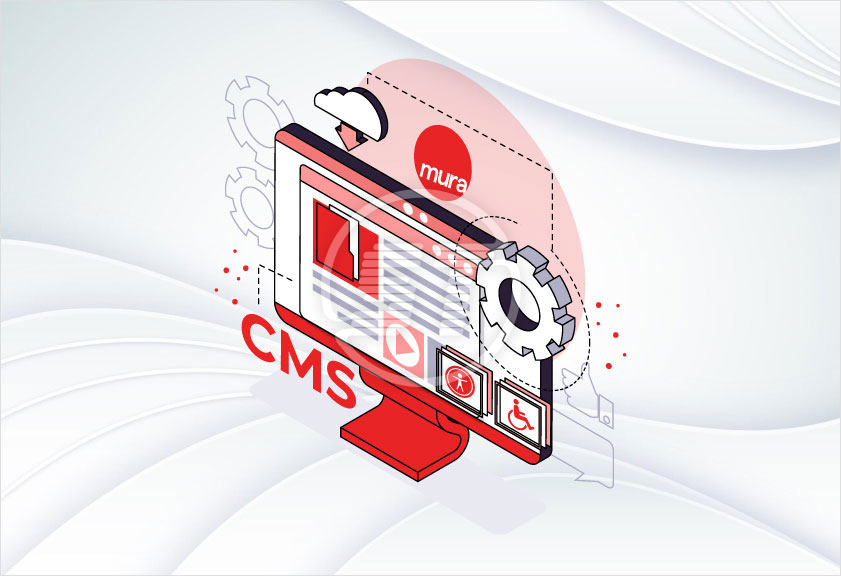 Mura CMS web accessibility widget installation - All In One Accessibility