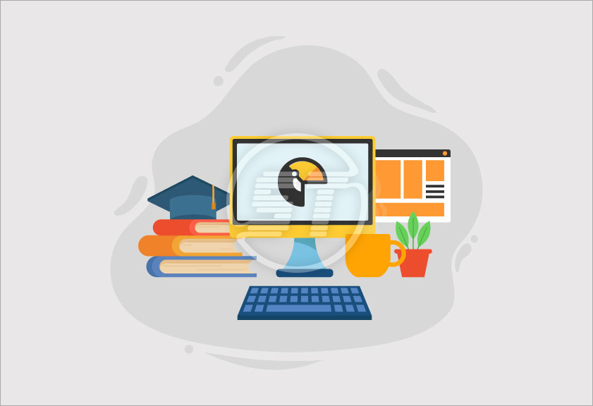 TutorBird web accessibility widget installation - All In One Accessibility