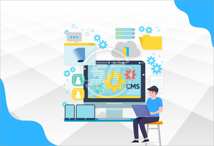WebsiteBaker web accessibility widget installation