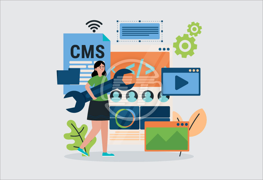 Evolution CRM web accessibility widget installation