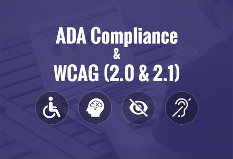 ADA Compliance and WCAG Level - Skynet Technologies USA LLC