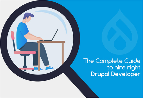 Drupal Developer – Skynet Technologies USA LLC