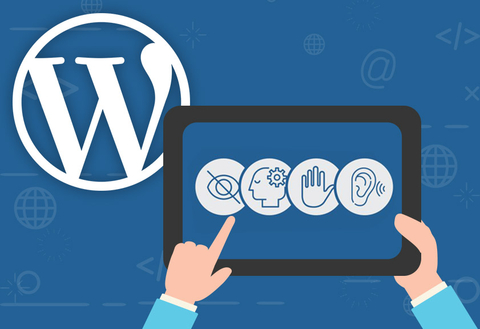 WordPress ADA Compliance – Skynet Technologies USA LLC