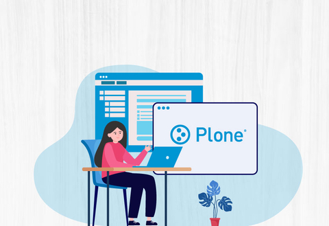 Plone web accessibility widget installation - All In One Accessibility