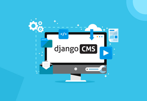 Django CMS web accessibility widget installation - All In One Accessibility