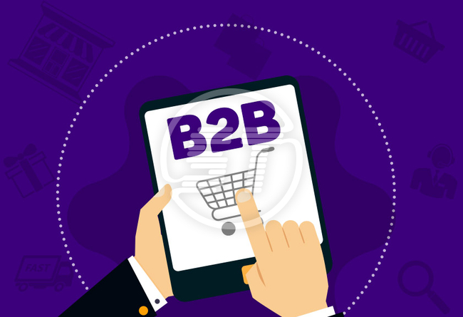B2B Ecommerce Platform Solution - B2B Ecommerce Solution