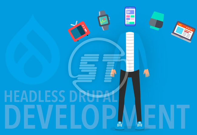 Headless Drupal Development - Skynet Technologies USA LLC