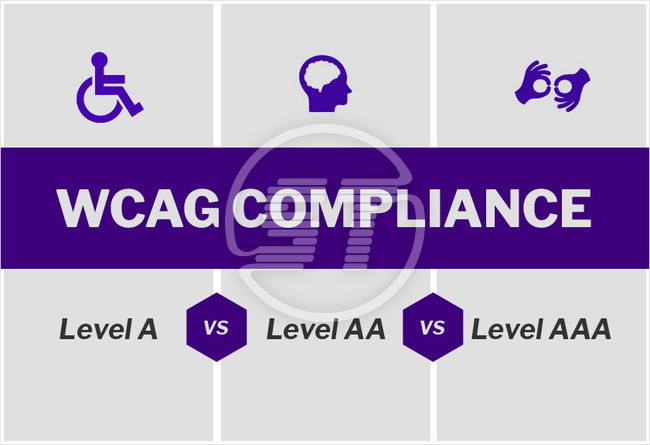 WCAG Compliance Level A, AA and AAA - Skynet Technologies USA LLC