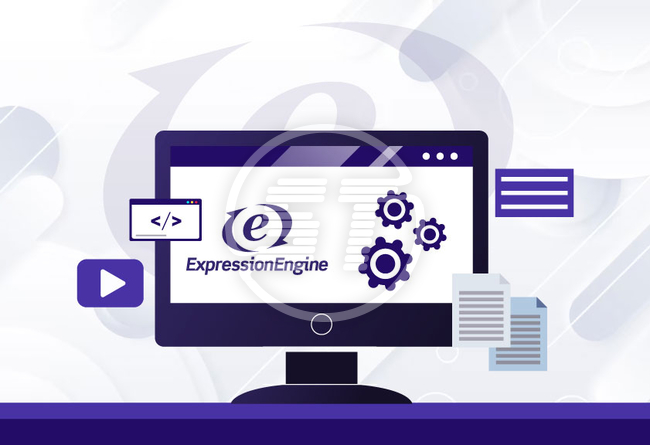 ExpressionEngine website accessibility widget installation