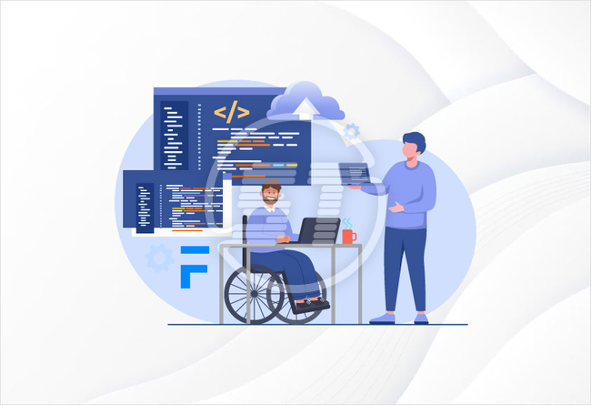 Frappe framework website accessibility widget installation