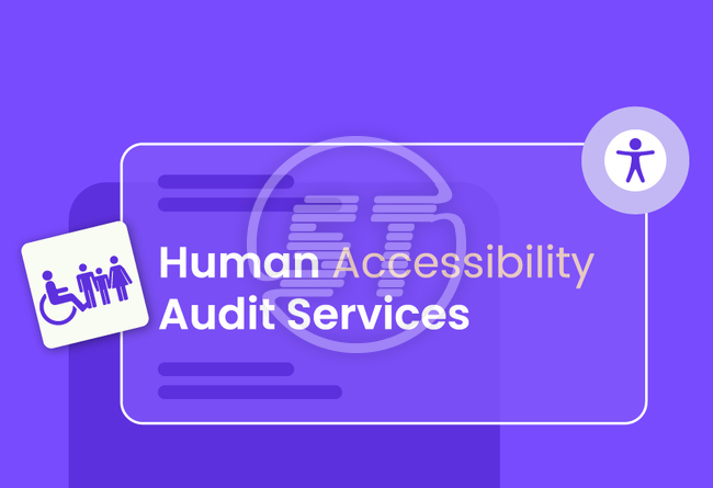 Human Accessibility Audit Services - Why & When Require?