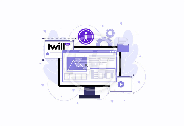 Twill CMS web accessibility widget installation - All In One Accessibility