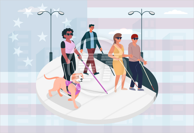 Top organizations for visually impaired individuals US