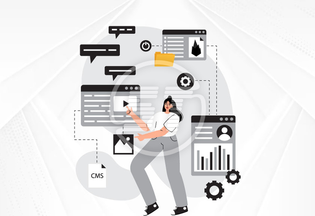 PyroCMS web accessibility widget installation - All In One Accessibility